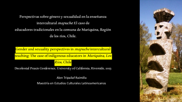 (PDF) Gender and sexuality perspectives in mapuche intercultural ...