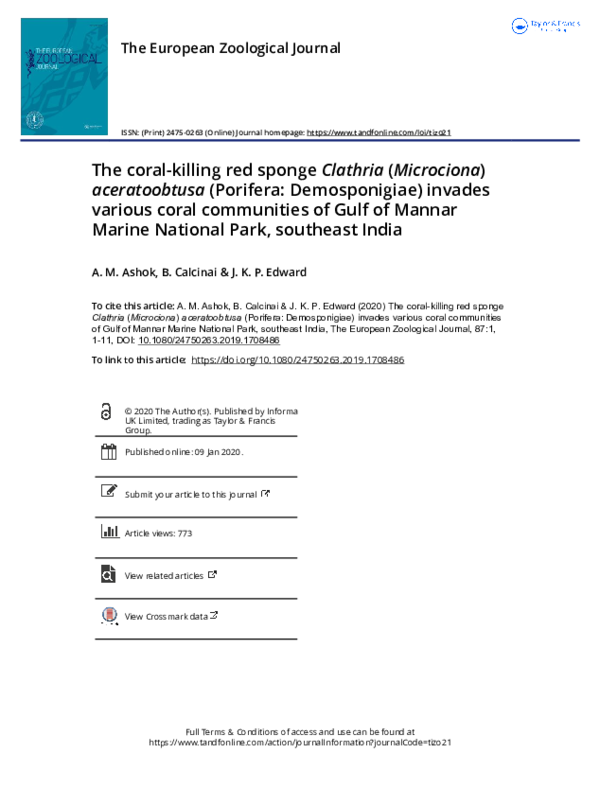 (PDF) The coral-killing red sponge Clathria (Microciona) aceratoobtusa ...