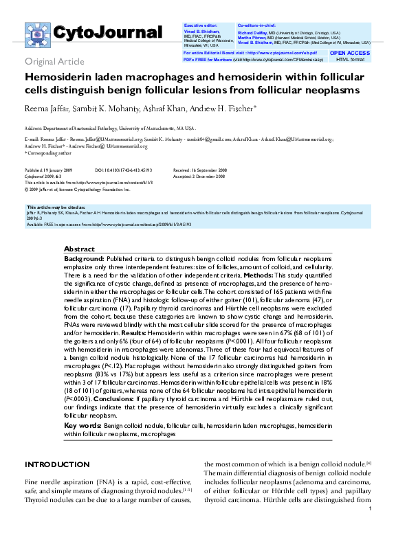 (PDF) Hemosiderin laden macrophages and hemosiderin within follicular ...