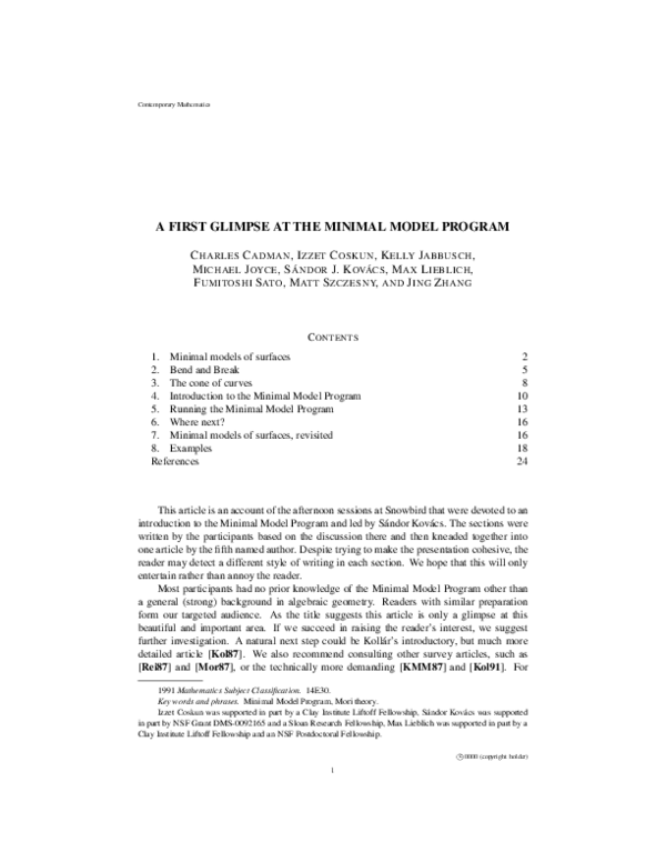 (PDF) A first glimpse at the minimal model program