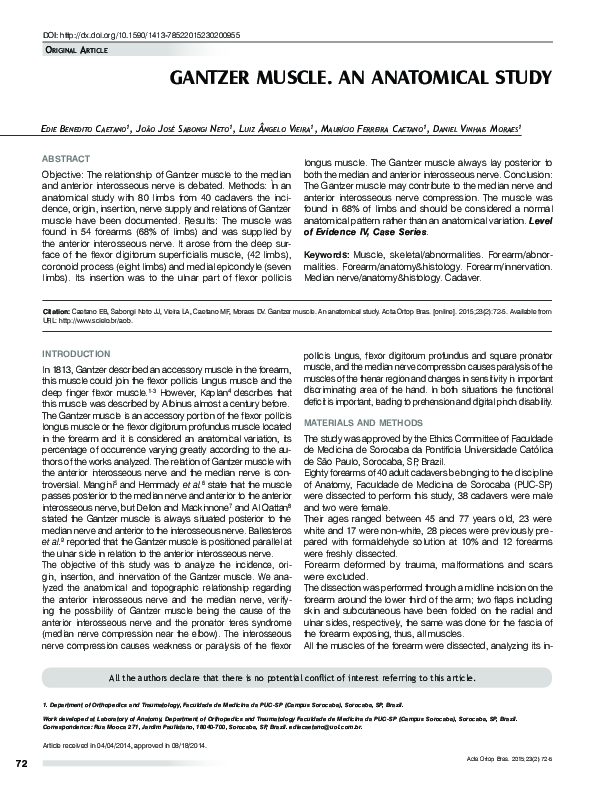 (PDF) Gantzer muscle. An anatomical study