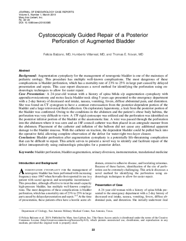(PDF) Endourologic Repair of Bladder Perforation