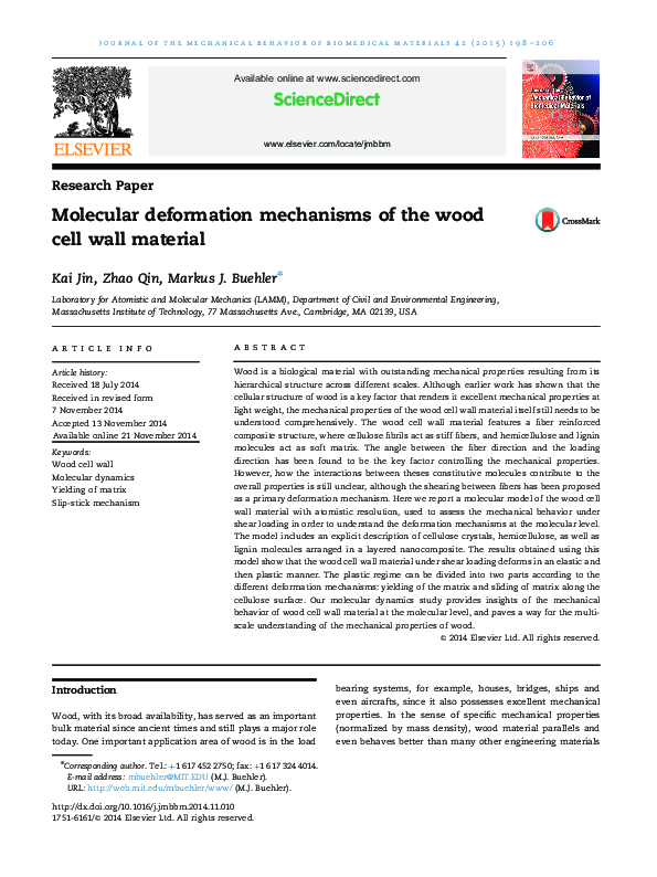 (PDF) Molecular deformation mechanisms of the wood cell wall material