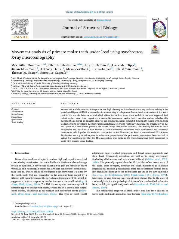 (PDF) Movement analysis of primate molar teeth under load using ...