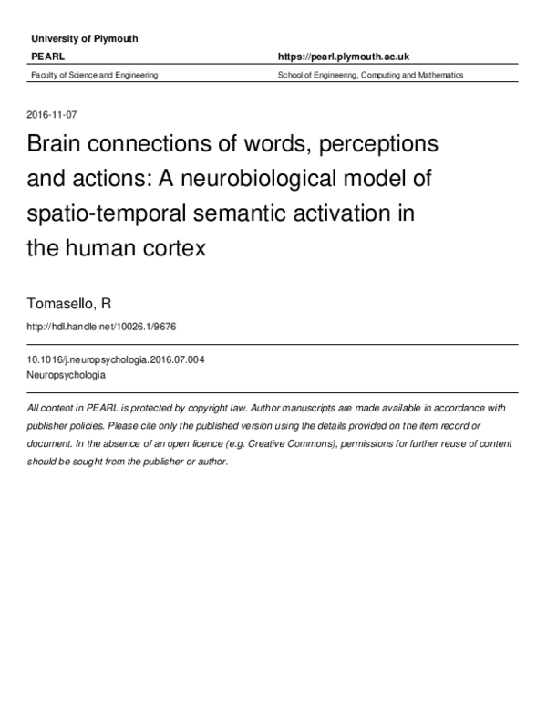 (PDF) Brain connections of words, perceptions and actions: A neurobiological model of spatio ...