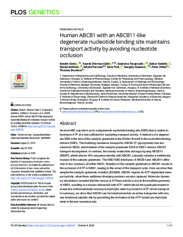 (PDF) Human ABCB1 with an ABCB11-like degenerate nucleotide binding ...