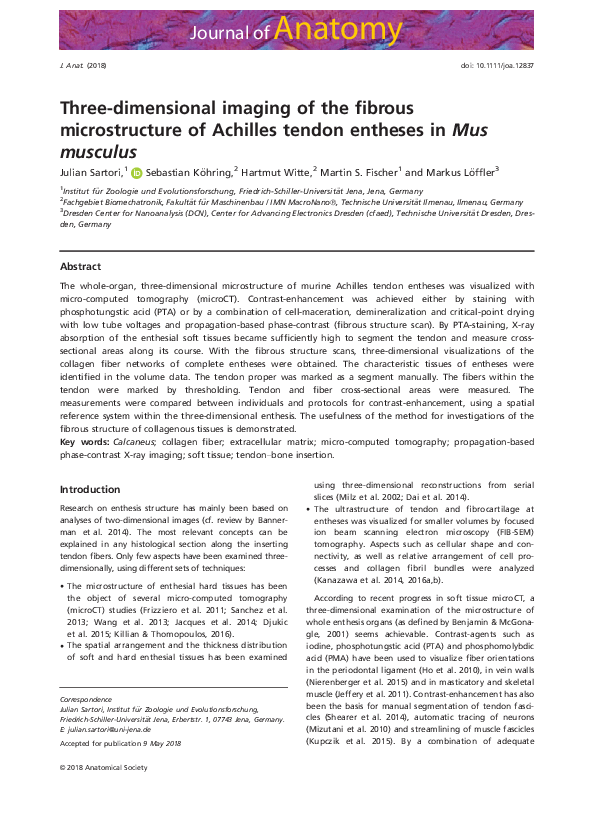 (PDF) Three-dimensional imaging of the fibrous microstructure of ...