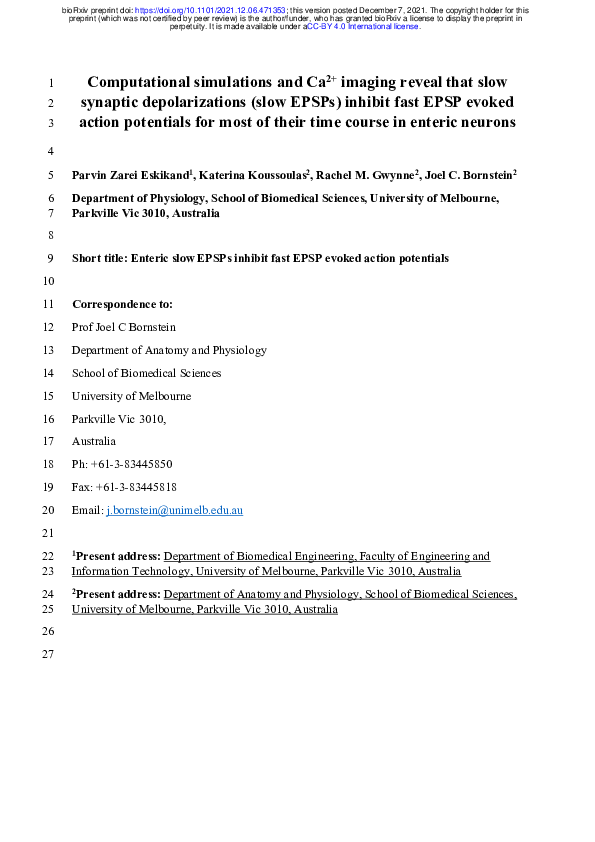 (PDF) Slow EPSPs Inhibit Fast EPSP Action Potentials