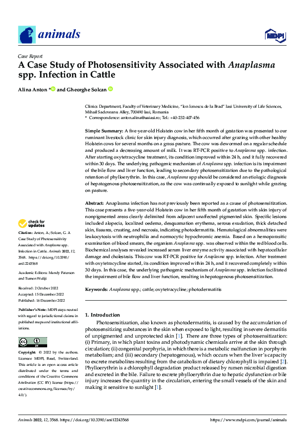 (PDF) A Case Study of Photosensitivity Associated with Anaplasma spp ...