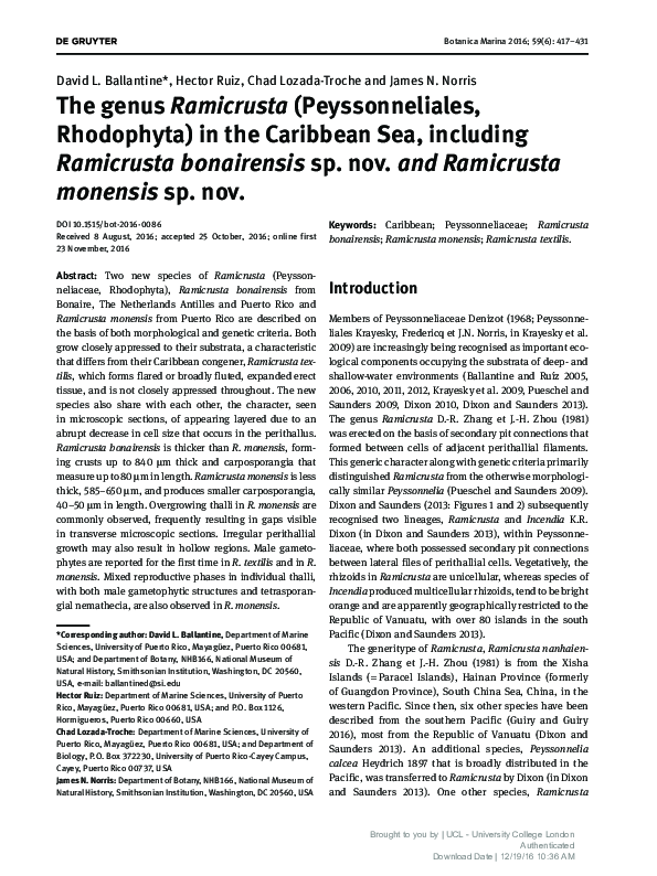 (PDF) The genus Ramicrusta (Peyssonneliales, Rhodophyta) in the ...