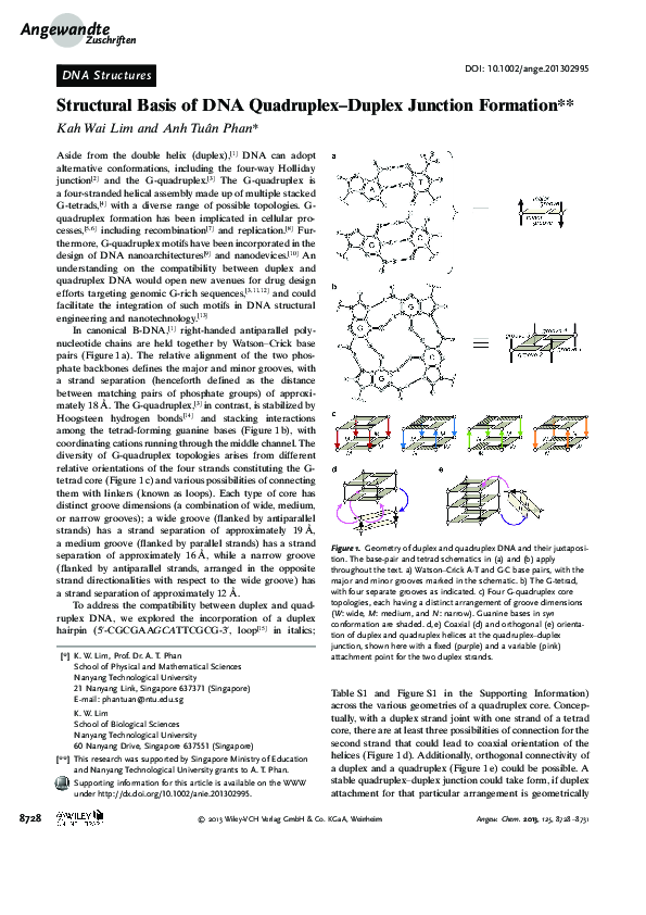 (PDF) Structural Basis of DNA Quadruplex-Duplex Junction Formation