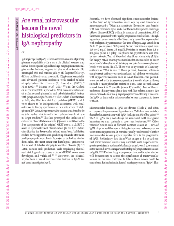 (PDF) Microvascular Lesions as Predictors in IgAN