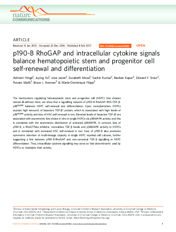 (PDF) p190-B RhoGAP and intracellular cytokine signals balance ...
