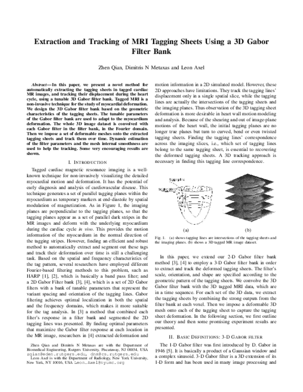 (PDF) Extraction and tracking of MRI tagging sheets using a 3D Gabor ...
