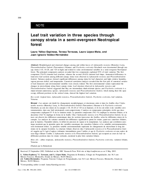 Pdf Leaf Trait Variation In Three Species Through Canopy Strata In A