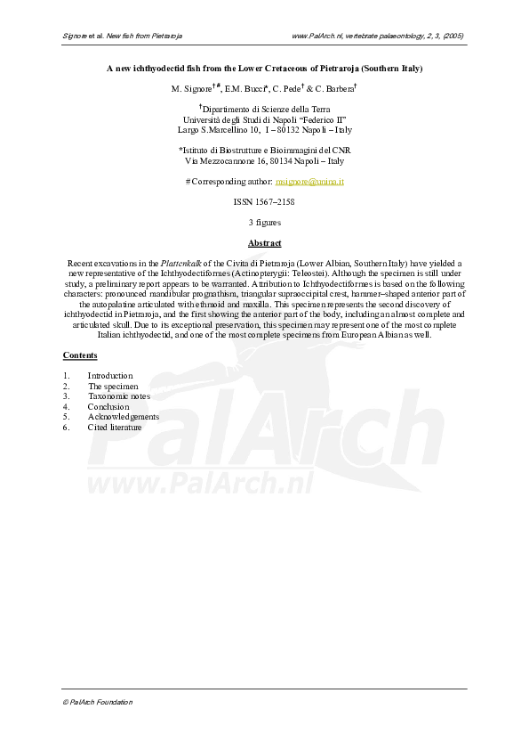 (PDF) A new ichthyodectid fish from the lower Cretaceous of Pietraroja ...