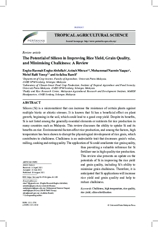 (PDF) The Potential of Silicon in Improving Rice Yield, Grain Quality, and Minimising Chalkiness ...