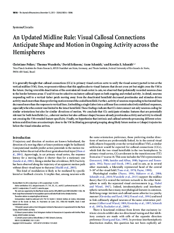 (PDF) An Updated Midline Rule: Visual Callosal Connections Anticipate ...