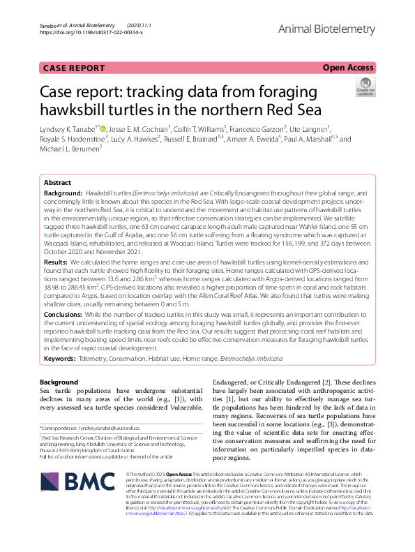 (PDF) Case report: tracking data from foraging hawksbill turtles in the ...