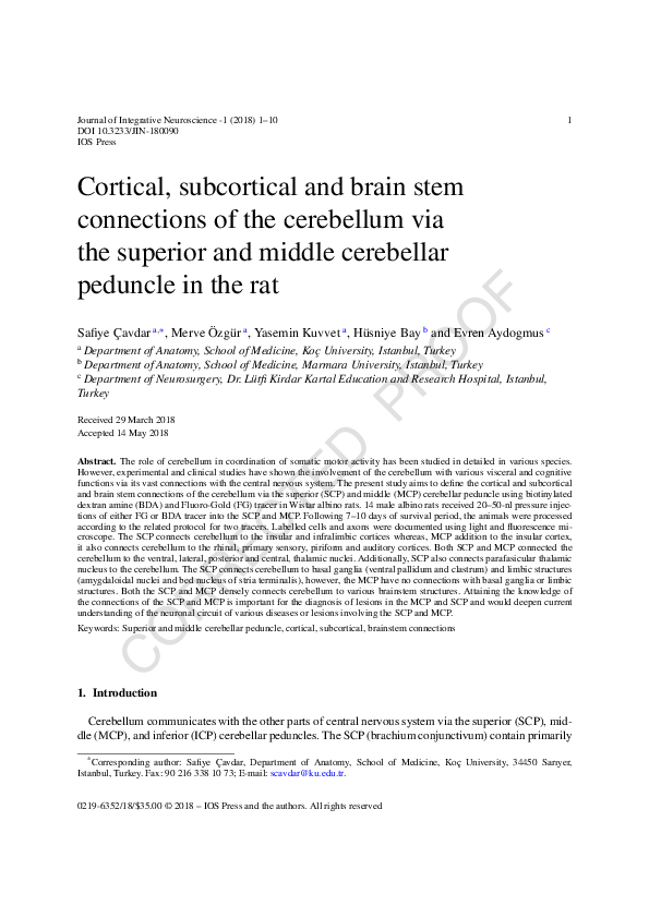 (PDF) Cortical, subcortical and brain stem connections of the cerebellum via the superior and ...