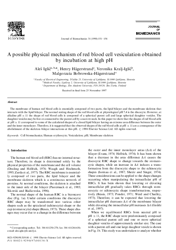 (PDF) A possible physical mechanism of red blood cell vesiculation ...