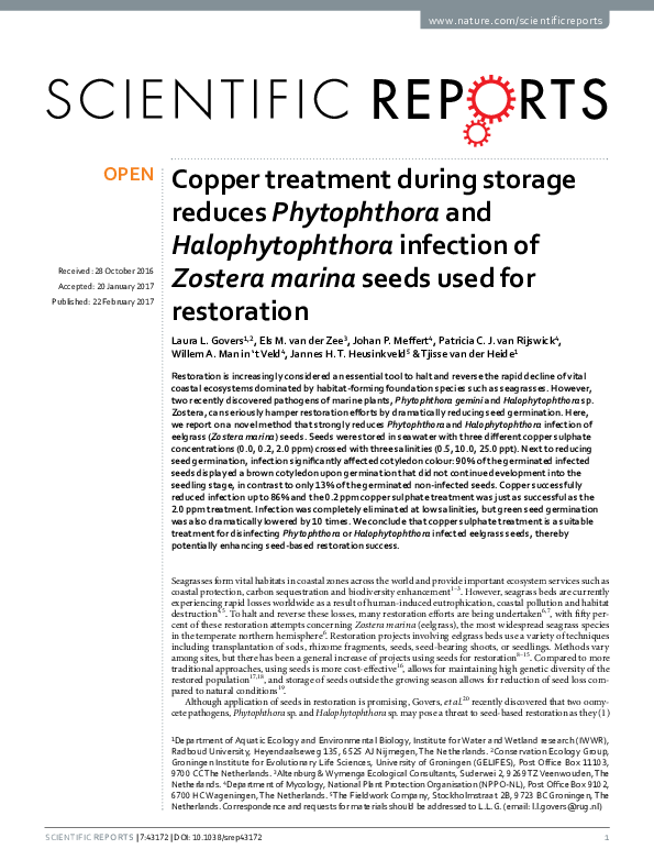 (PDF) Copper treatment during storage reduces Phytophthora and ...