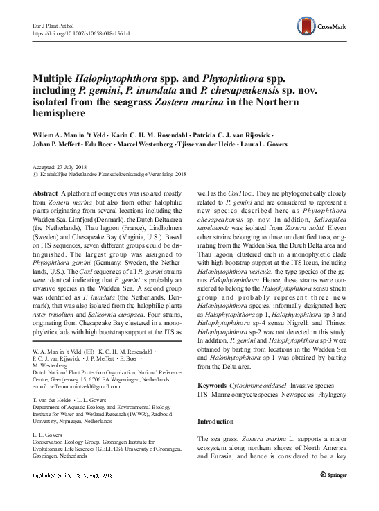 (PDF) Multiple Halophytophthora spp. and Phytophthora spp. including P. gemini, P. inundata and ...