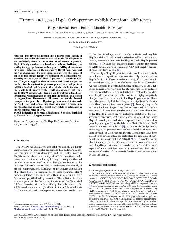 (PDF) Human and yeast Hsp110 chaperones exhibit functional differences ...