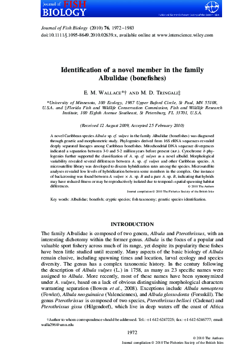 (PDF) Identification of a novel member in the family Albulidae ...