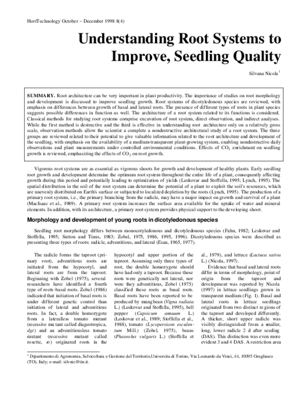 (PDF) The architecture of a root system related to its function