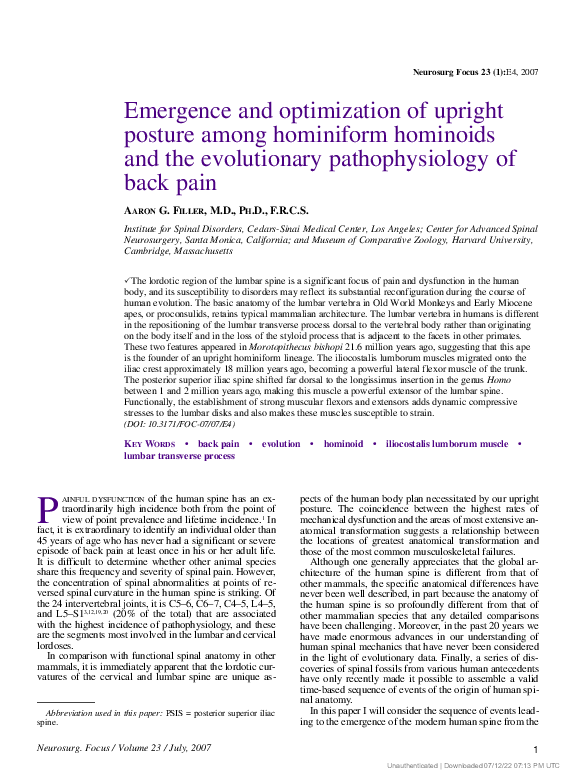 (PDF) Emergence and optimization of upright posture among hominiform ...