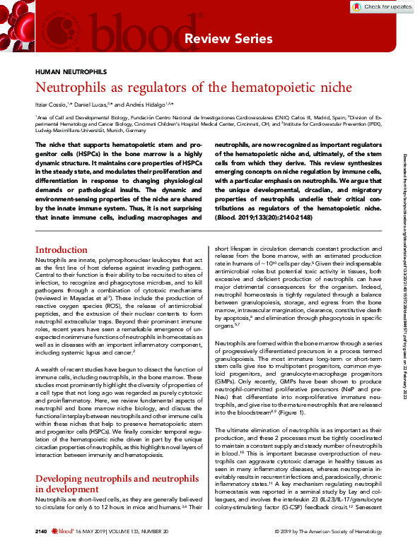 (PDF) Neutrophils as regulators of the hematopoietic niche
