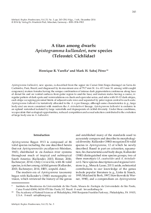 (PDF) A titan among dwarfs: Apistogramma kullanderi, new species ...