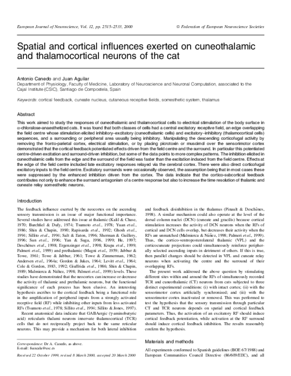 (PDF) Spatial and cortical influences exerted on cuneothalamic and ...
