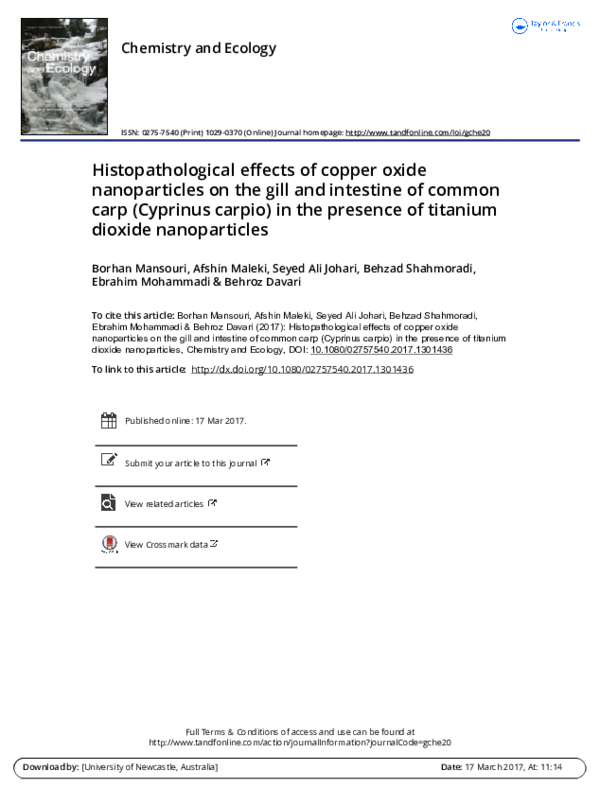Pdf Histopathological Effects Of Copper Oxide Nanoparticles On The