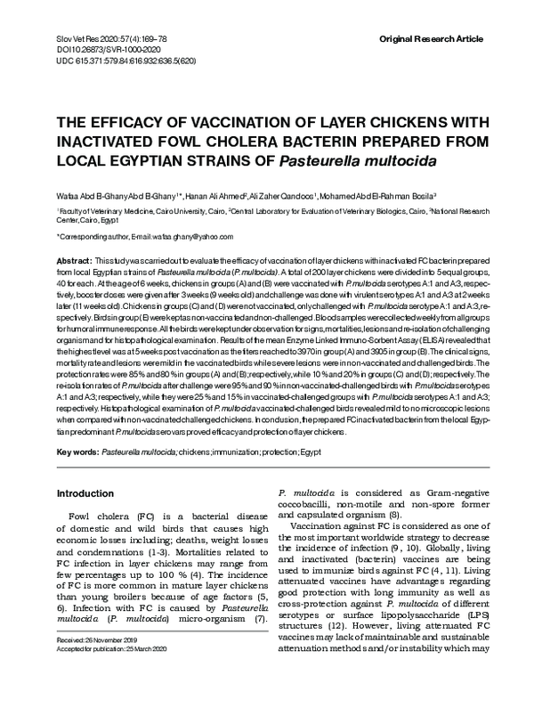 (PDF) THE EFFICACY OF VACCINATION OF LAYER CHICKENS WITH INACTIVATED ...