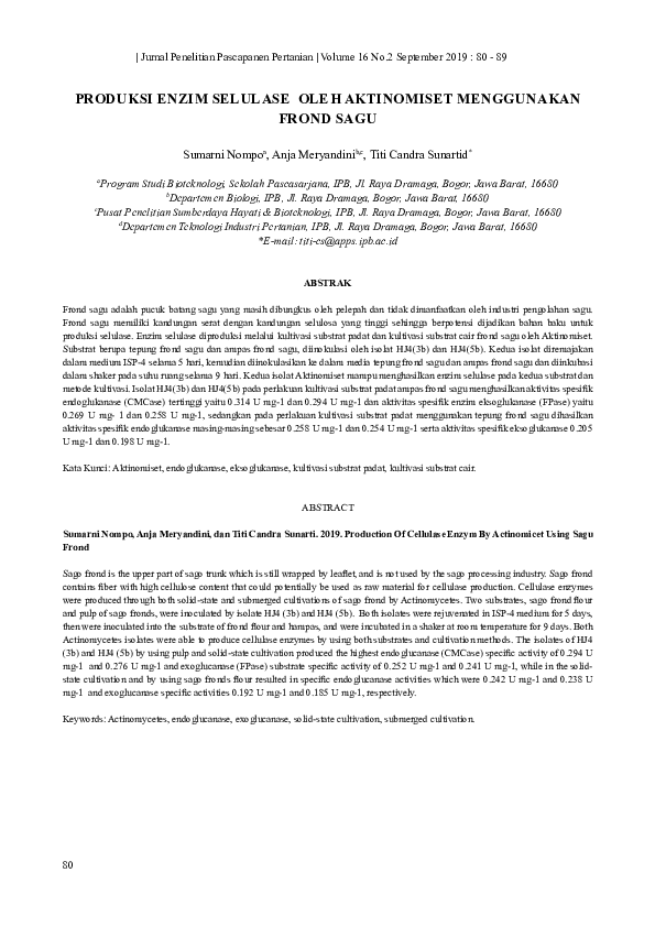 (PDF) Produksi Enzim Selulase Oleh Aktinomiset Menggunakan Frond Sagu