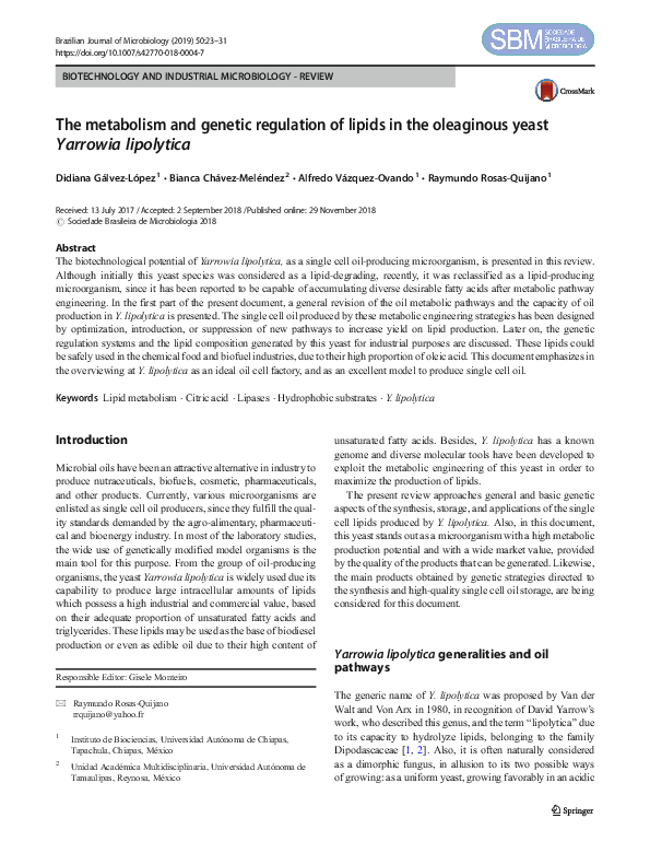 (PDF) The metabolism and genetic regulation of lipids in the oleaginous ...