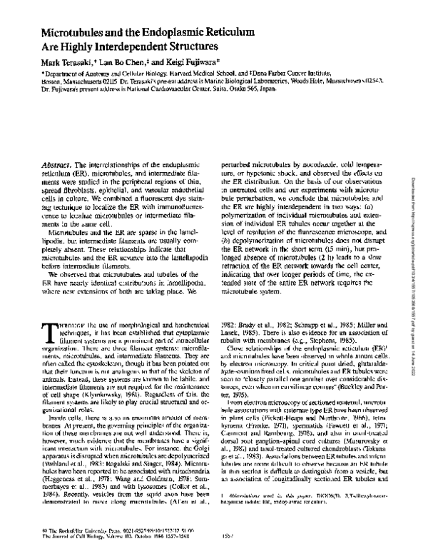 (PDF) Microtubules and the endoplasmic reticulum are highly interdependent structures