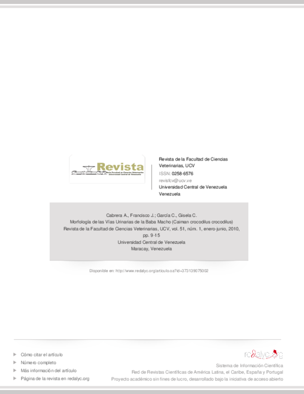 (PDF) Morfología de las Vías Urinarias de la BaBa Macho