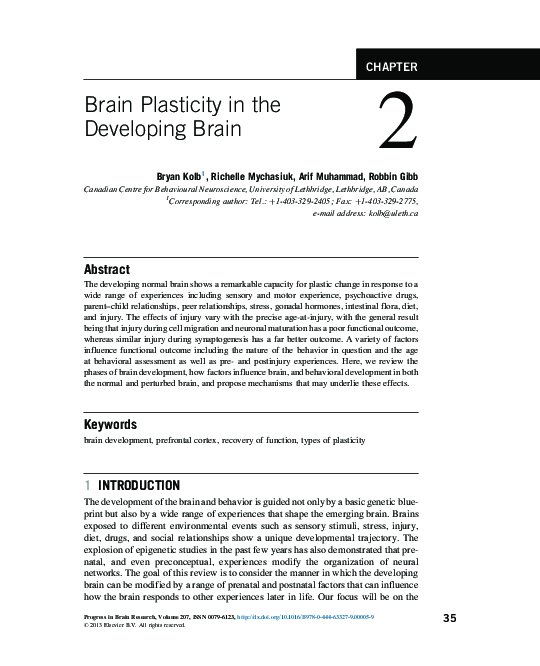 (PDF) Brain plasticity in the developing brain