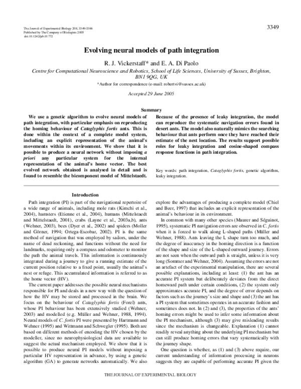 (PDF) Evolving neural models of path integration