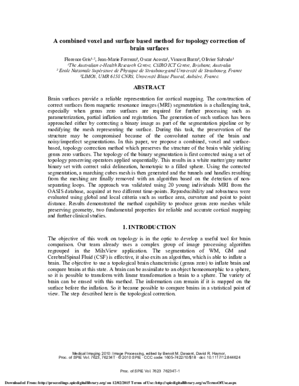 (PDF) A combined voxel and surface based method for topology correction of brain surfaces