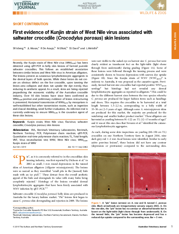 (PDF) First evidence of Kunjin strain of West Nile virus associated ...