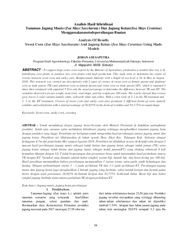 (PDF) ANALISIS HASIL HIBRIDISASI TANAMAN JAGUNG (Zea Mays Saccharata ...