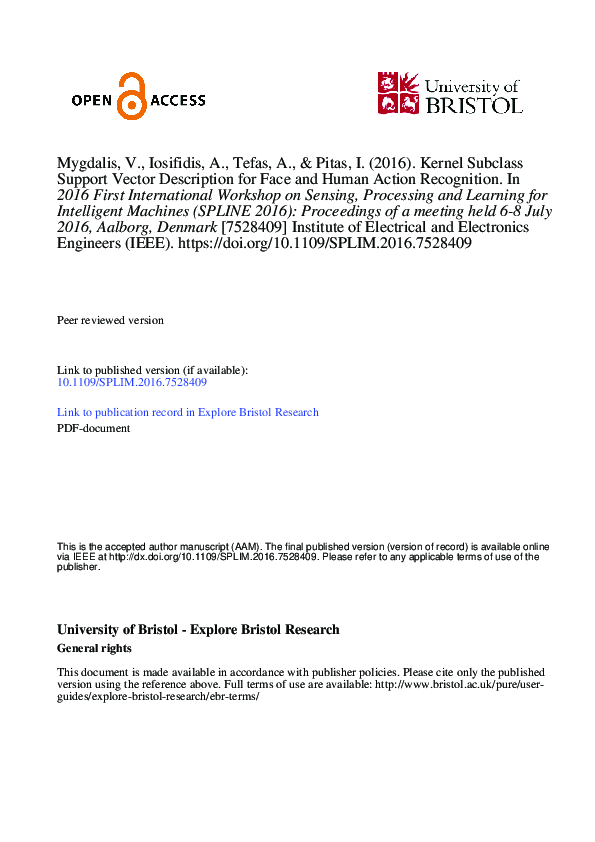 (PDF) Kernel subclass support vector description for face and human action recognition ...