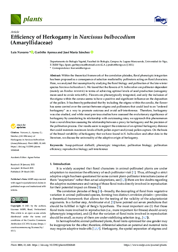 (PDF) Efficiency of Herkogamy in Narcissus bulbocodium (Amaryllidaceae)