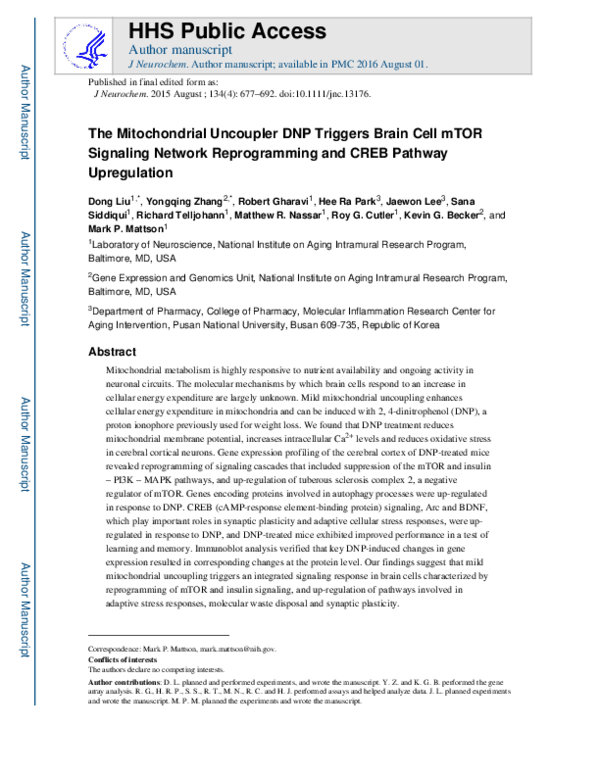 (PDF) The Mitochondrial Uncoupler DNP Triggers Brain Cell mTOR ...