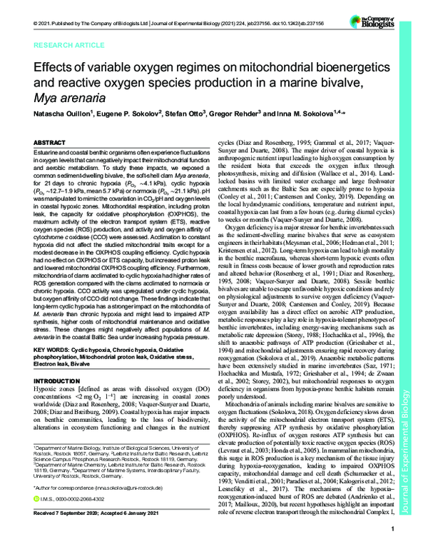 (PDF) Effects of variable oxygen regimes on mitochondrial bioenergetics ...