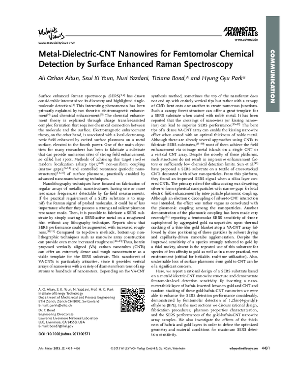 (PDF) Metal-Dielectric-CNT Nanowires for Femtomolar Chemical Detection ...